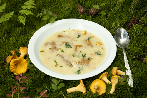Trattkantarellsoppa med äpple och salvia | Doktorn.com