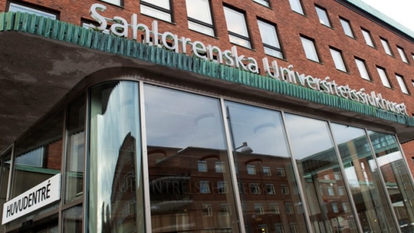 Springmask: orsak, symtom & behandling